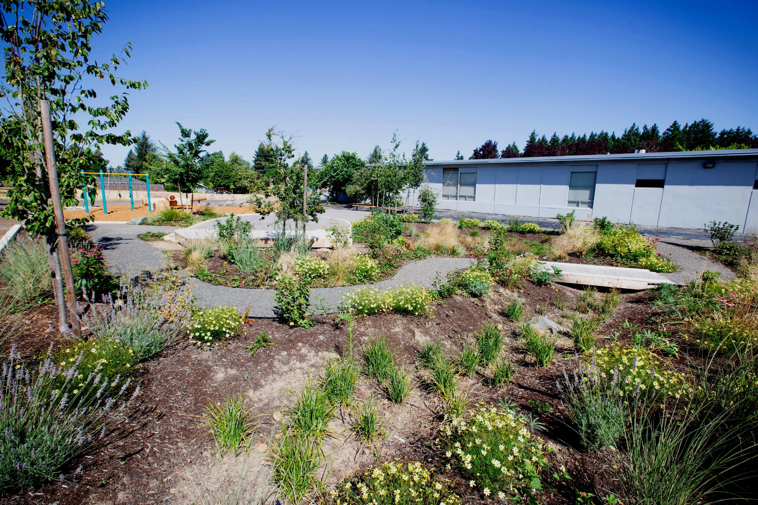 Powell Butte Elementary — Depave
