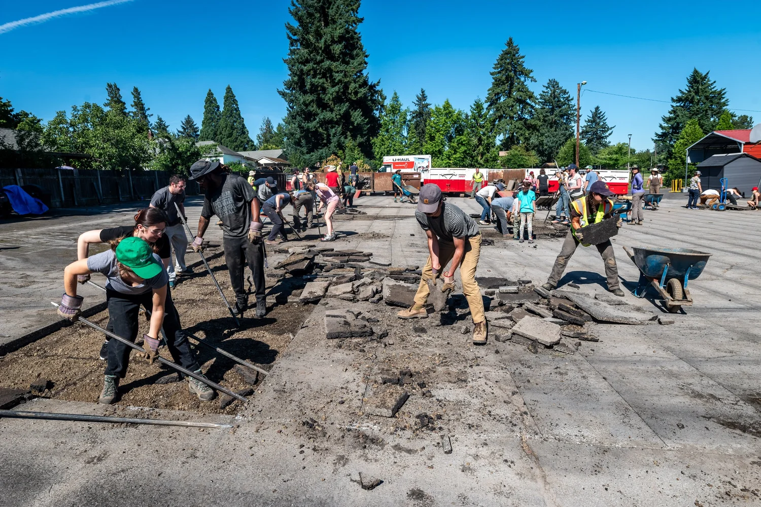 volunteer — Depave