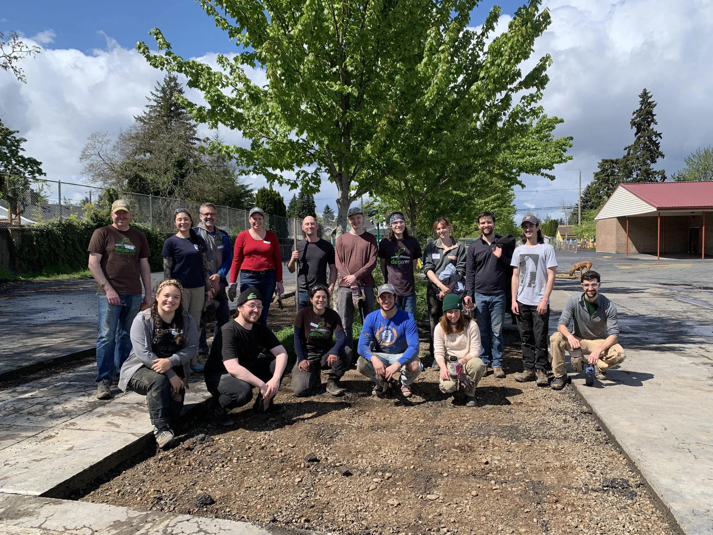 volunteer — Depave
