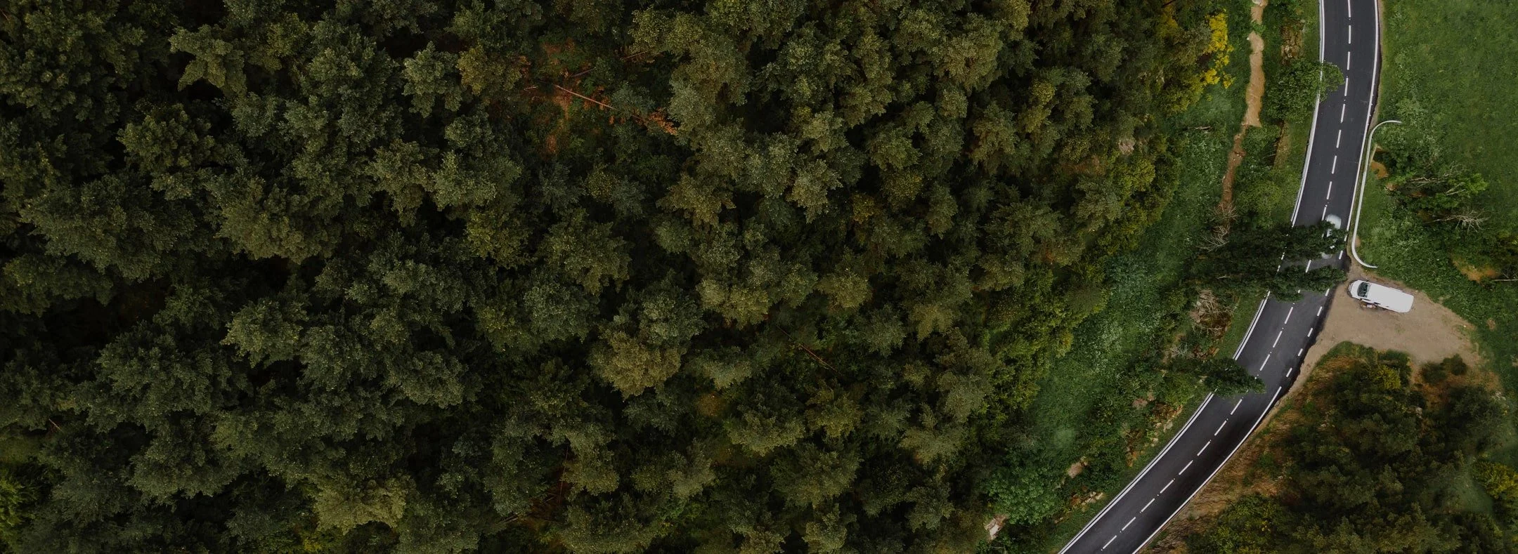 Canada's Forest Trust