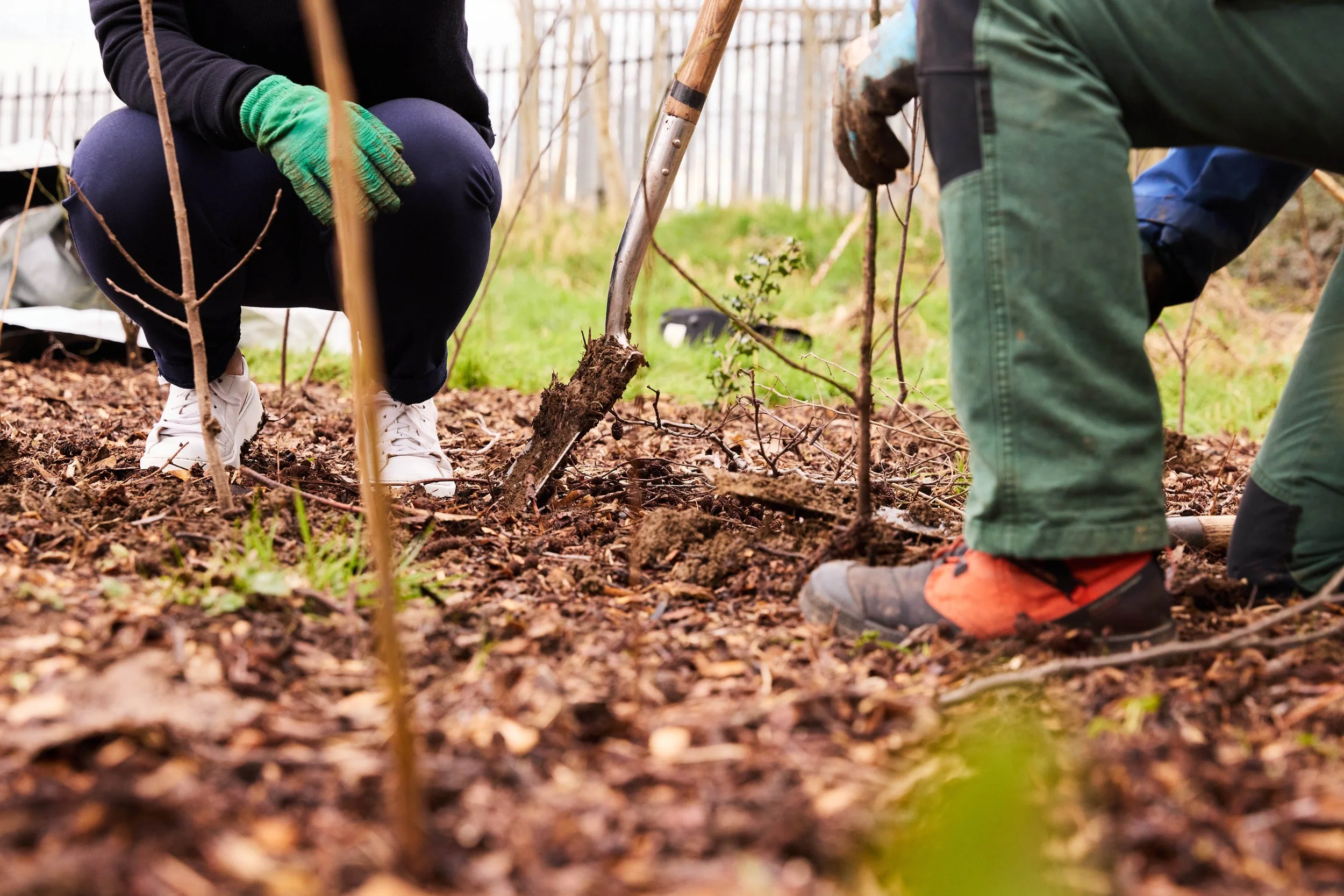 Our Impact — Pocket Forests