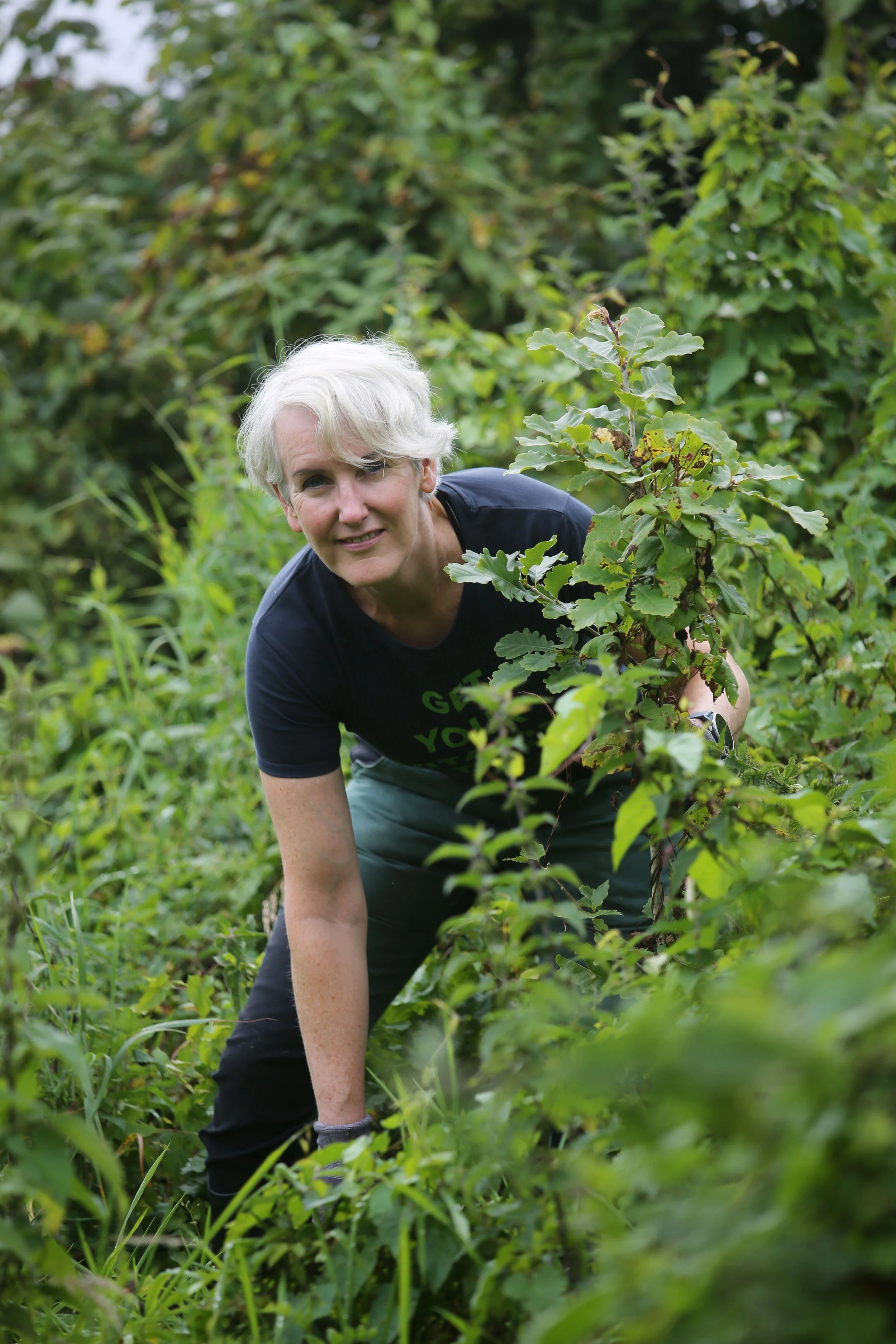 Our Process — Pocket Forests