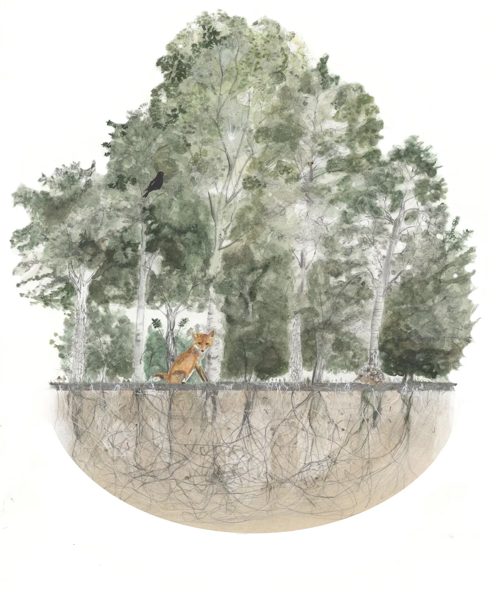 Our Partnerships — Pocket Forests
