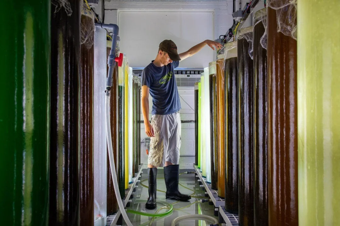 Hatchery — Merrymeeting Shellfish Company