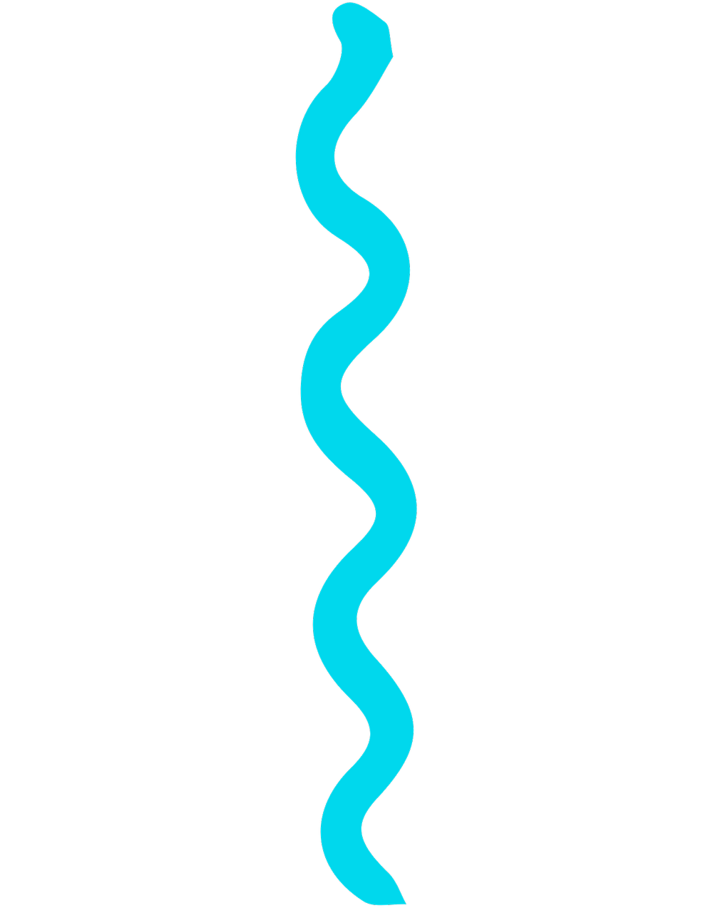 START HOSTING — Elizabeth Muck