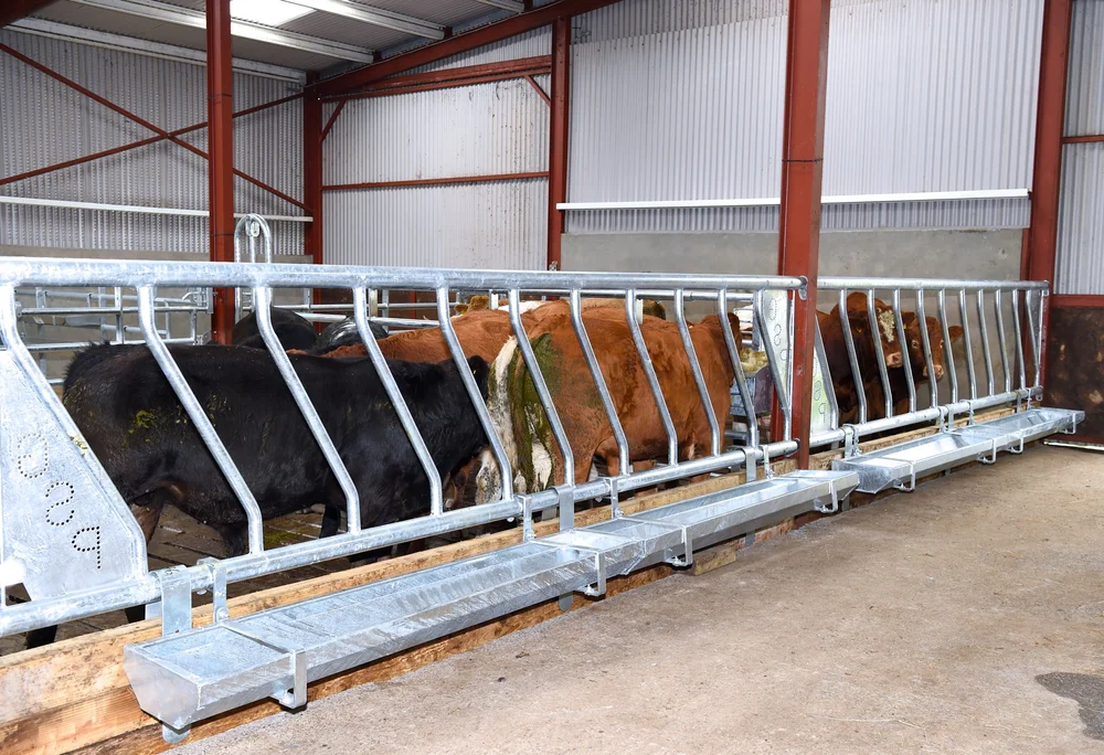 Cattle Feed Barriers — Ag-Con