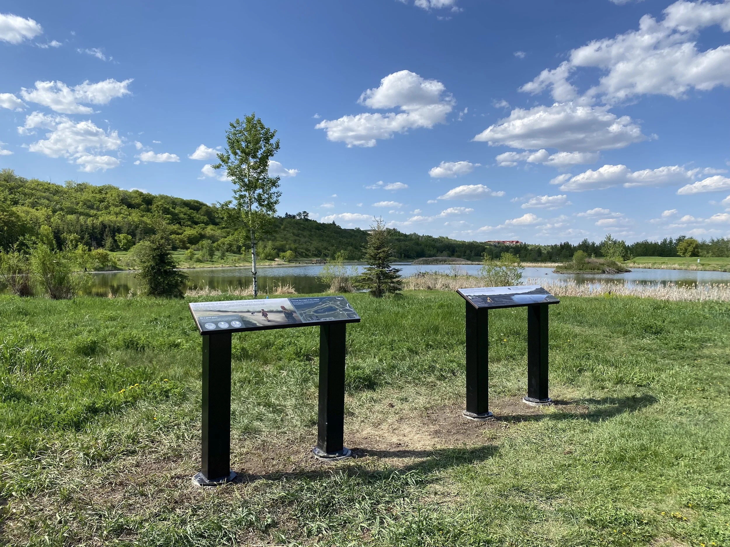 Fuse Consulting Ltd.