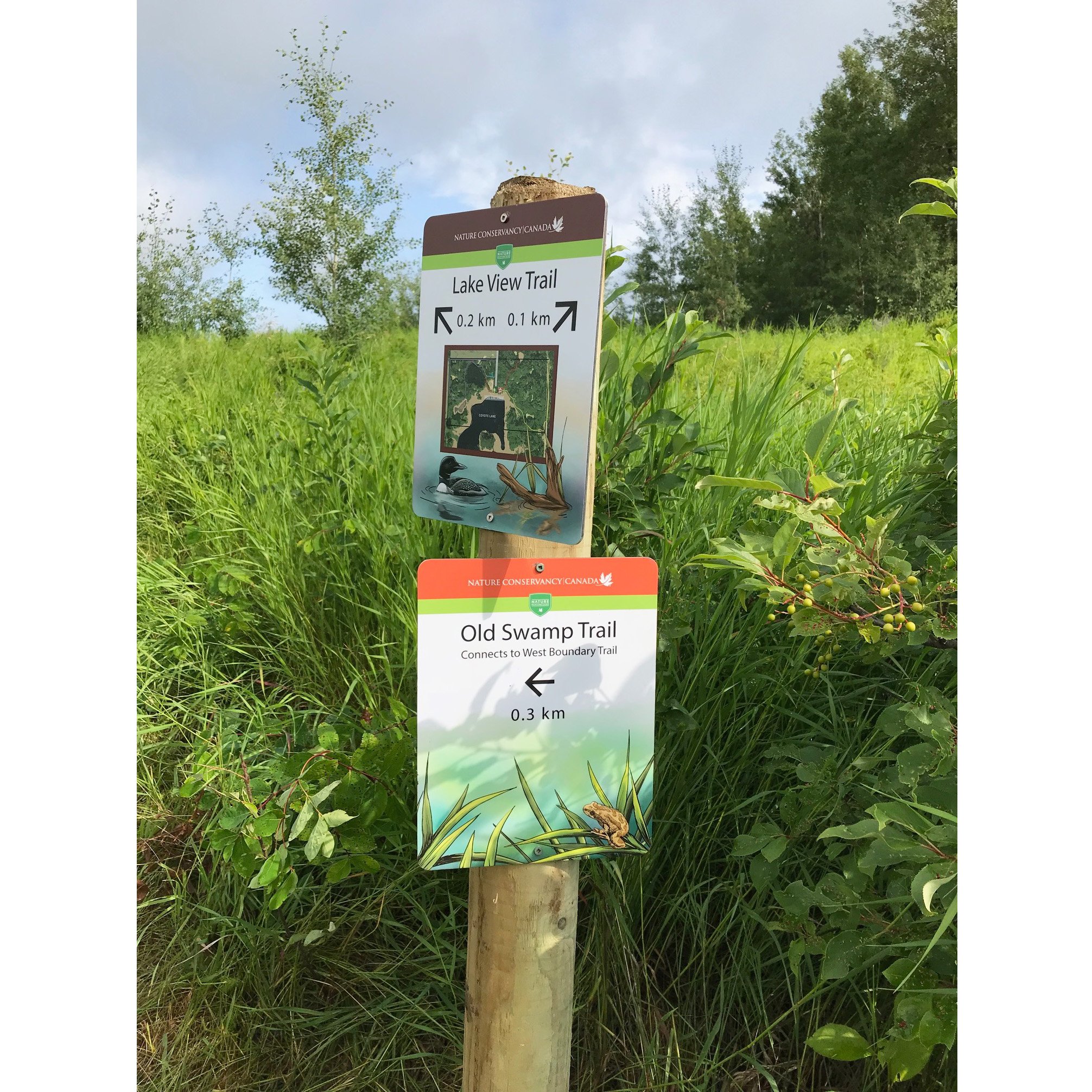 Interpretive Signage & Exhibits — Fuse Consulting Ltd.