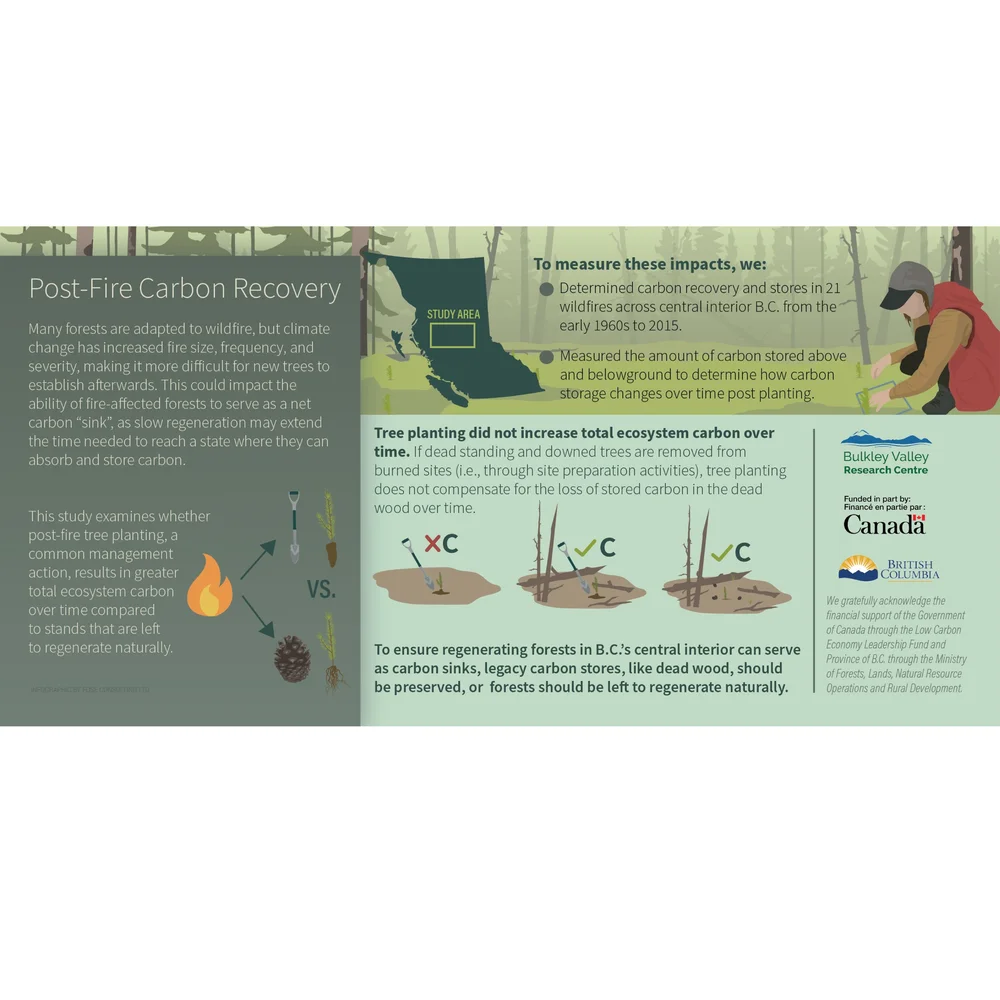 Infographics & Science Illustrations — Fuse Consulting Ltd.