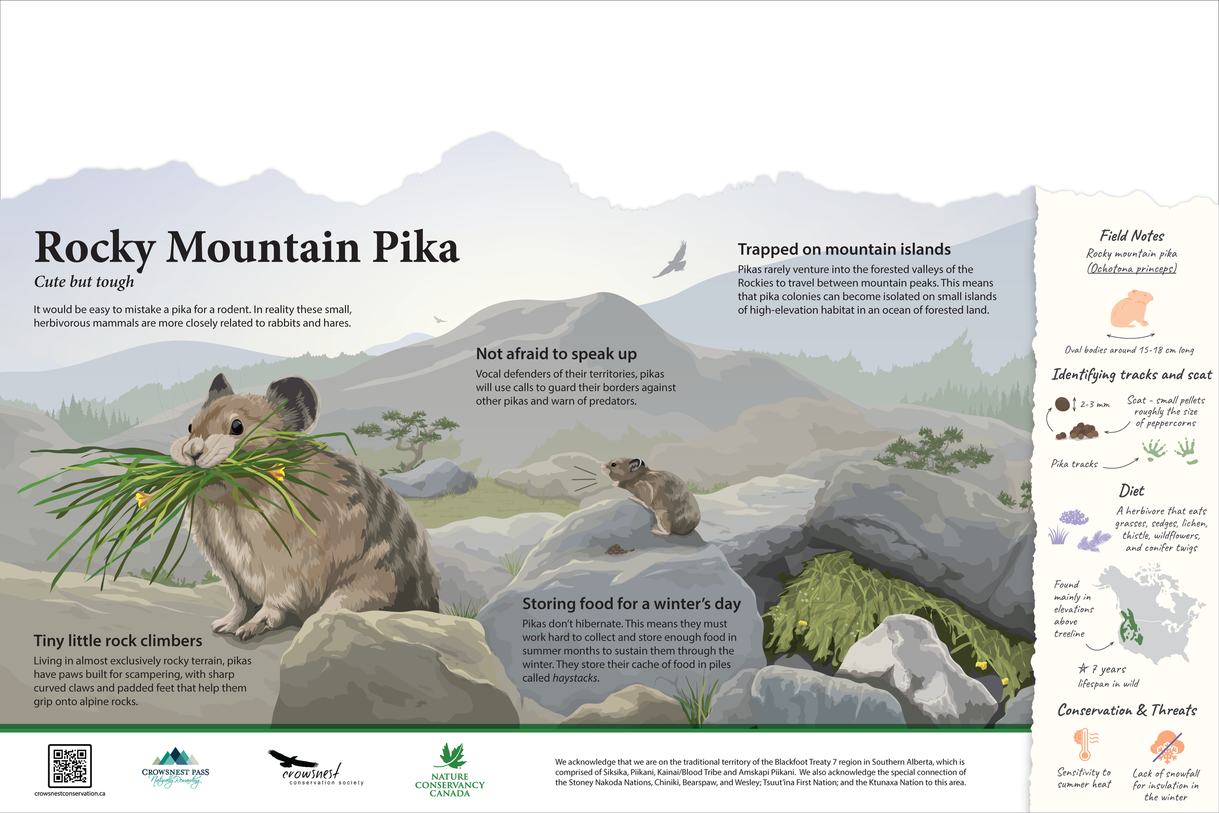 Interpretive Signage & Exhibits — Fuse Consulting Ltd.