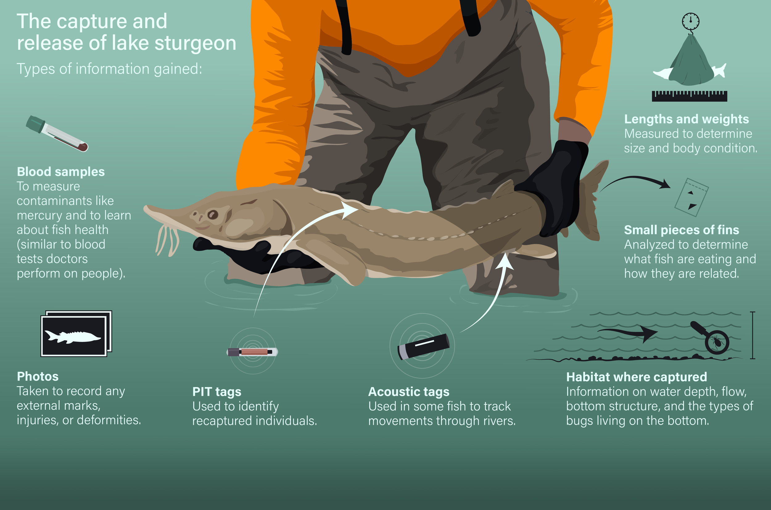 Fuse Consulting Ltd.