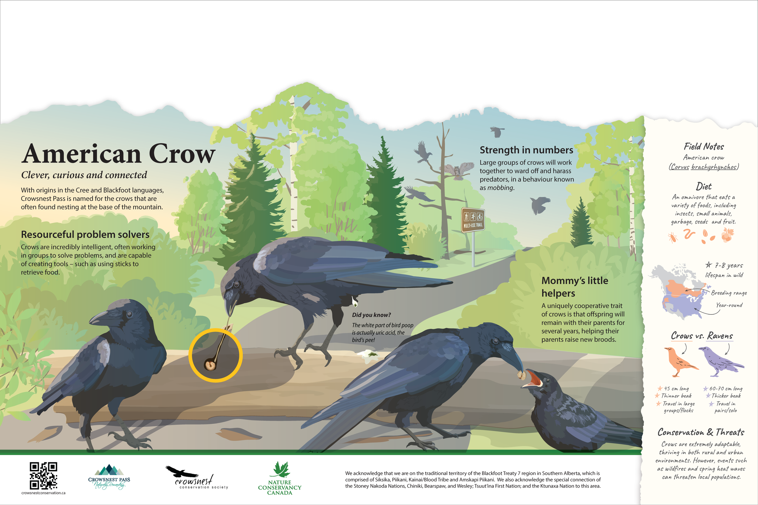 Interpretive Signage & Exhibits — Fuse Consulting Ltd.