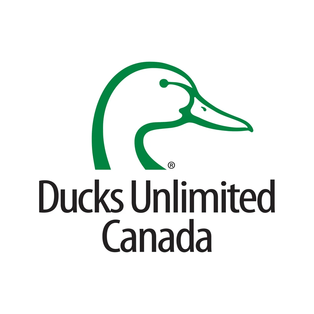 Fuse Consulting Ltd.