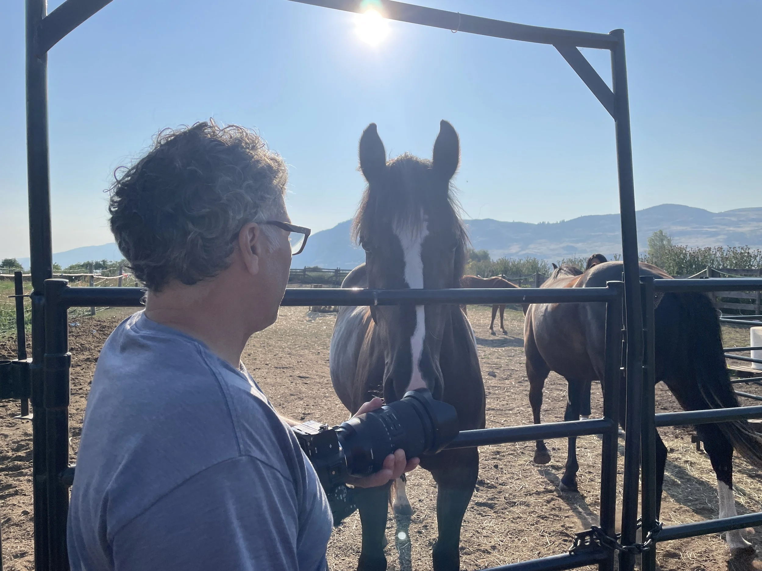 Phreeagent Creative Media - video, podcast editing and production ...