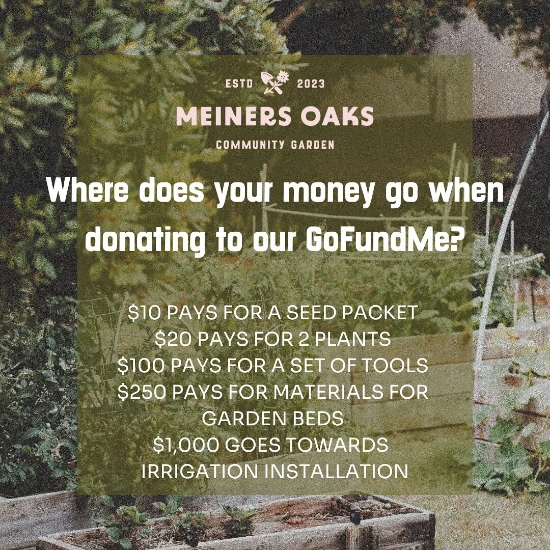 Meiners Oaks Community Garden | Ojai, CA