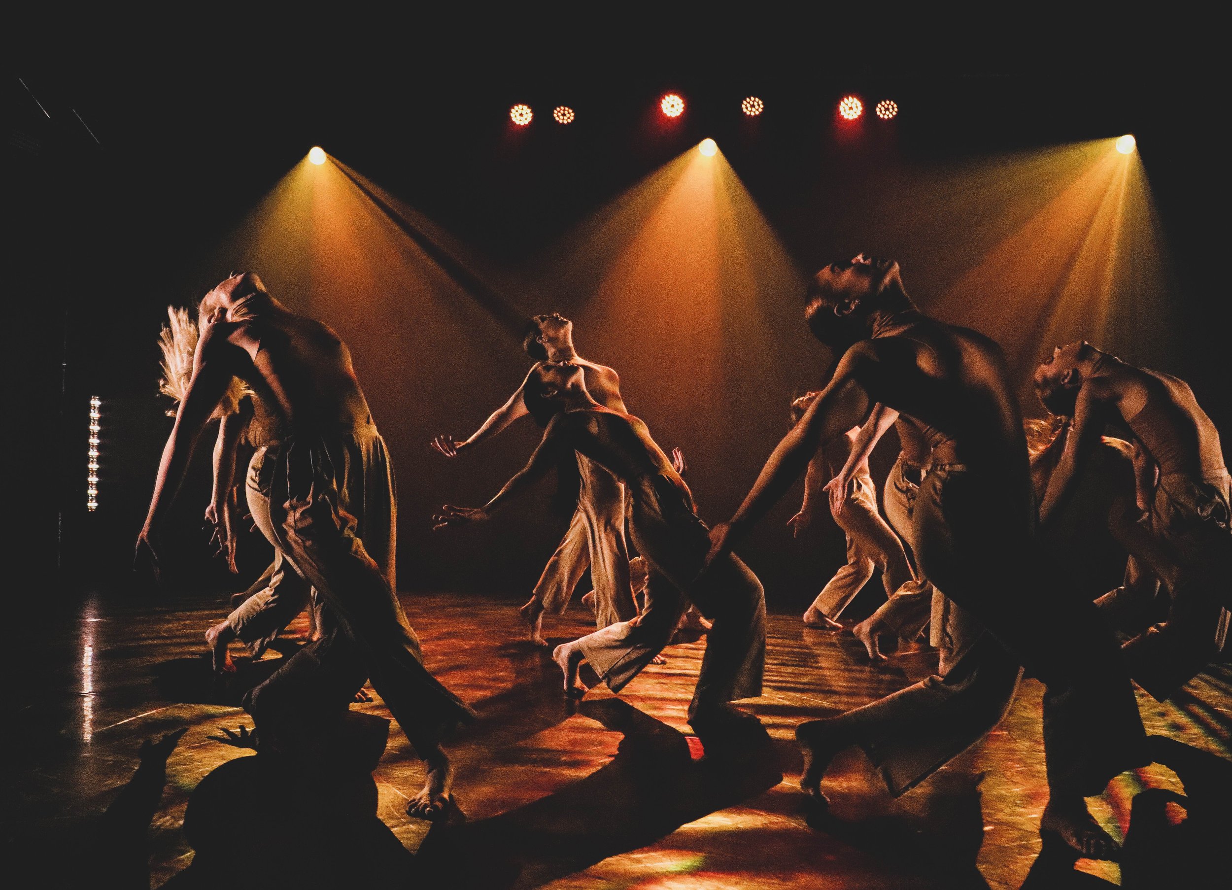 Our Story — Scimm. Dance