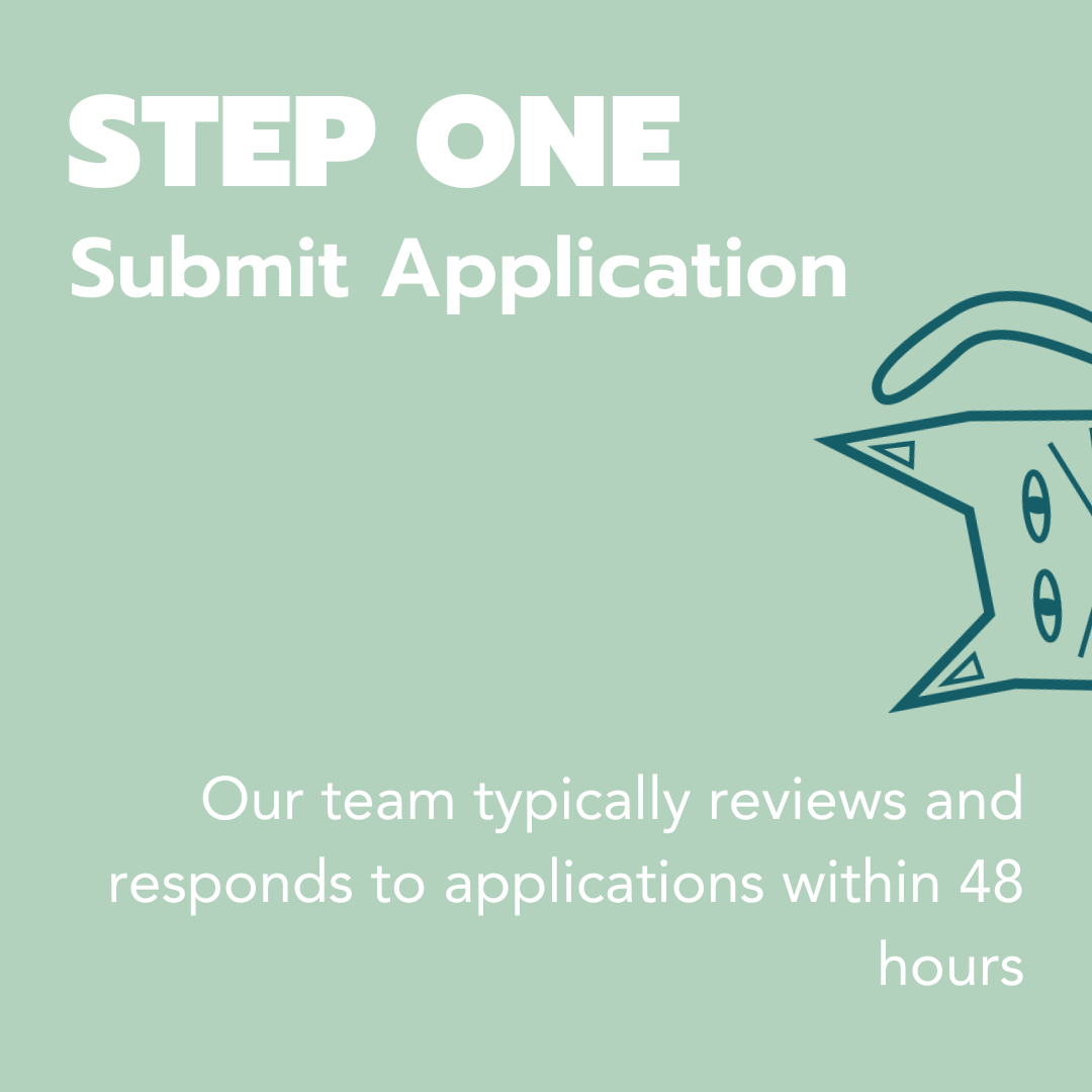 Kittens in Charlotte, NC — Windsor Kittens