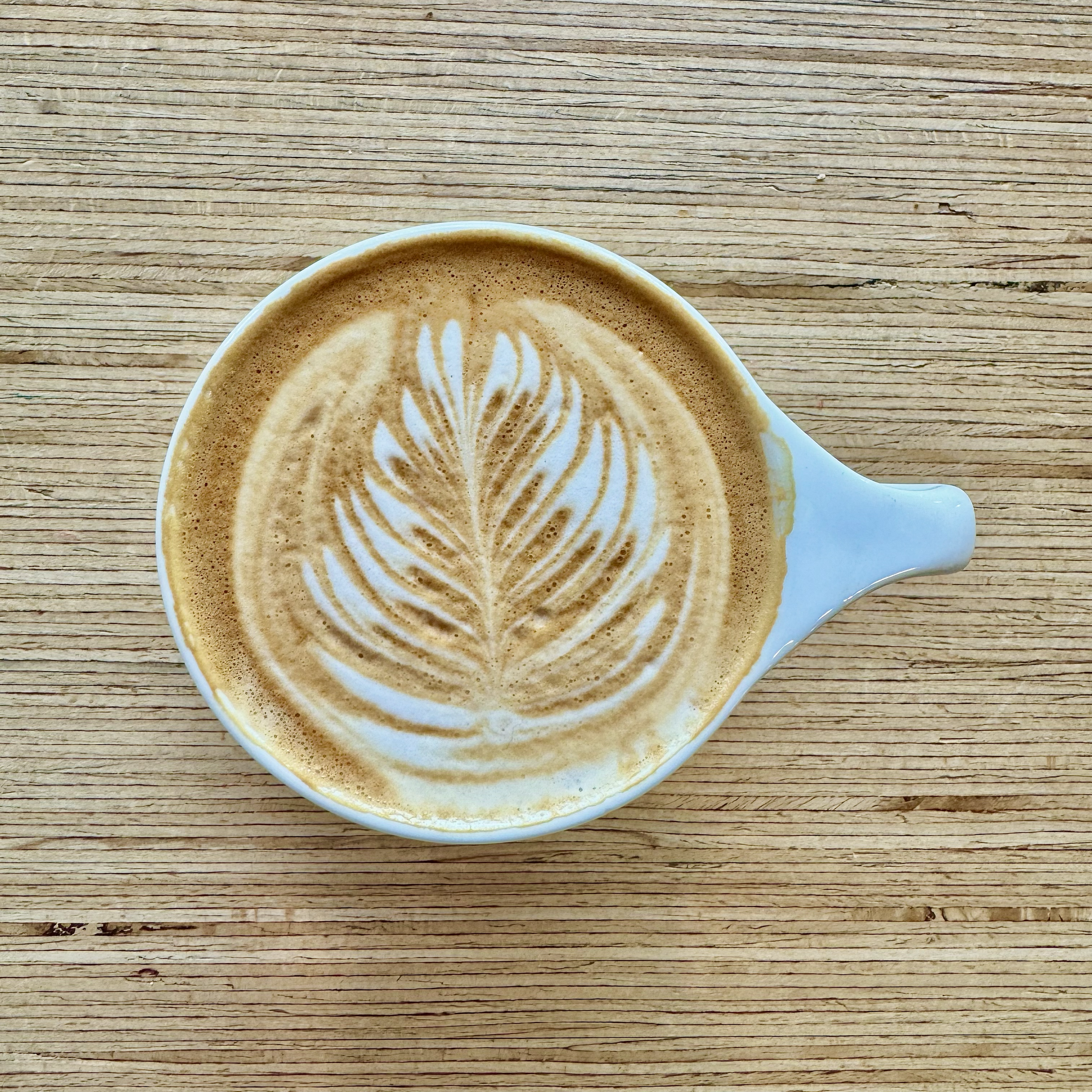 Welcome to Flying X Coffee