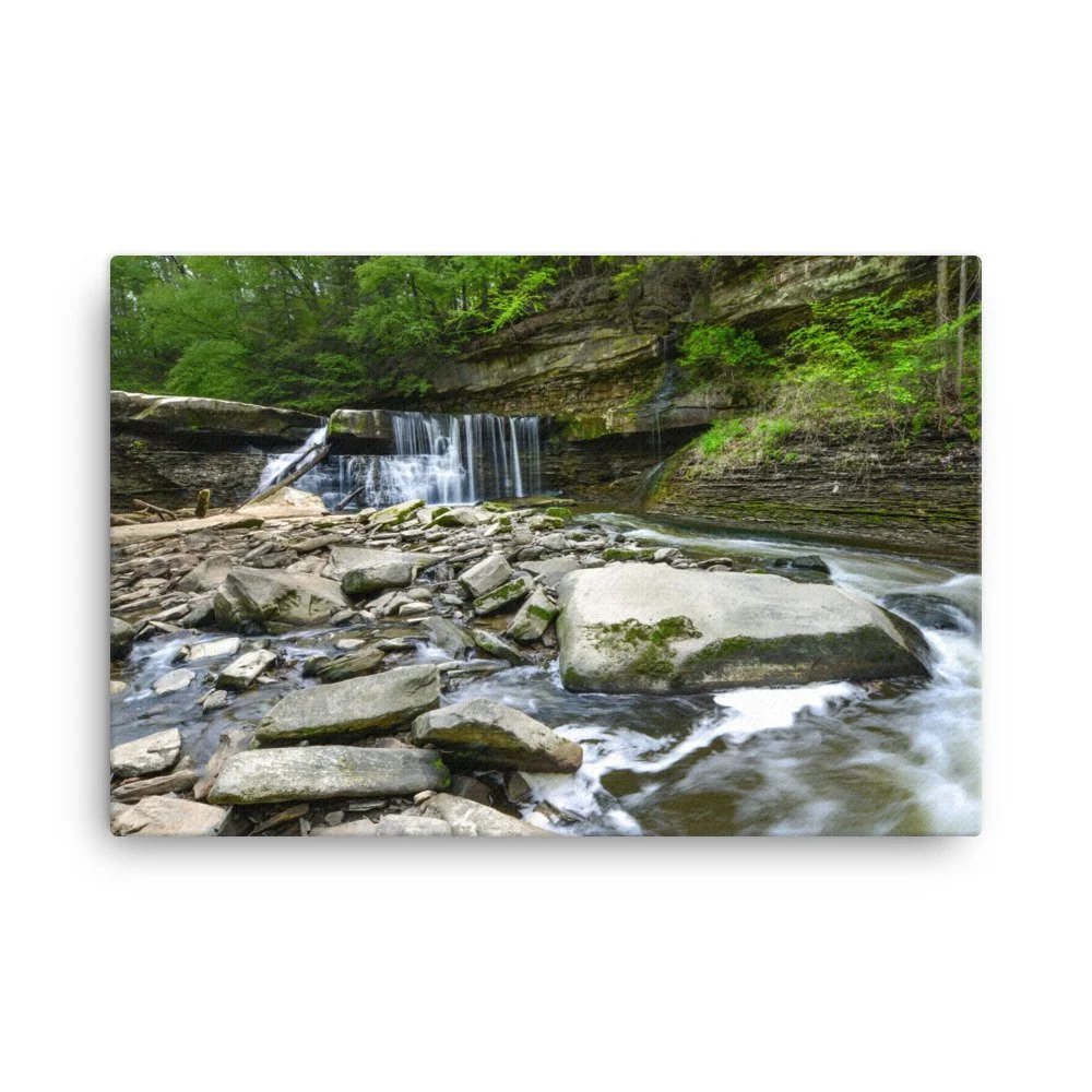 Viaduct Park Bedford Reservation - Canvas — Big Picture Cleveland