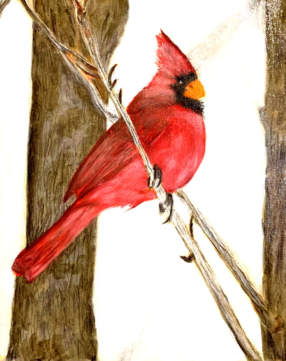 Cardinal — John Regan Art