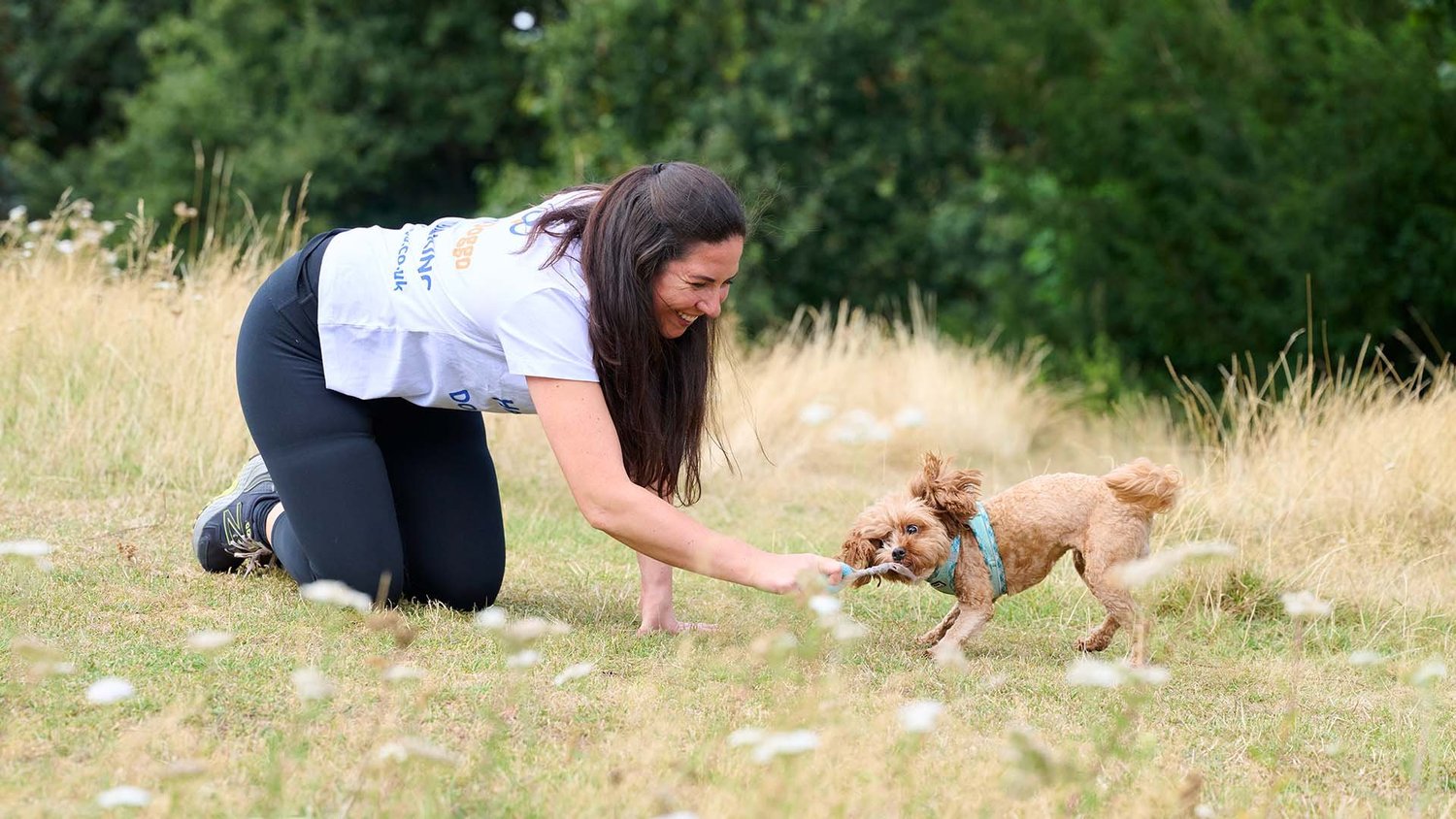 Hello Doggo | Trusted Dog Walking & Pet Sitting in Eltham, Kidbrooke ...