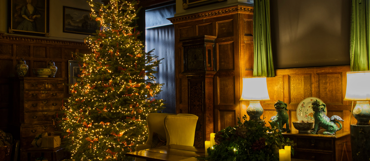 Kent Christmas Magical Light Trails & Illuminated Festive Activities ...