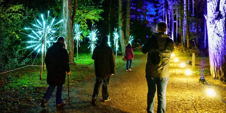 Christmas Light Trails & Immersive Experiences in Bristol for 2025 ...