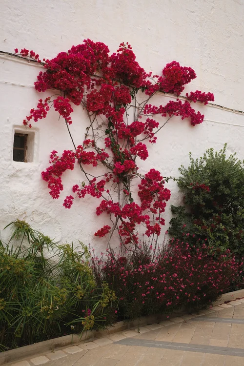 About Chloe — Chloe Barrett-Page Counseling