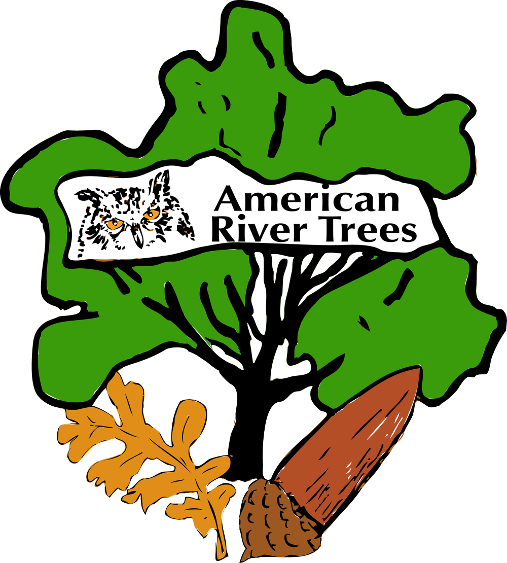 AMERICAN RIVER TREES