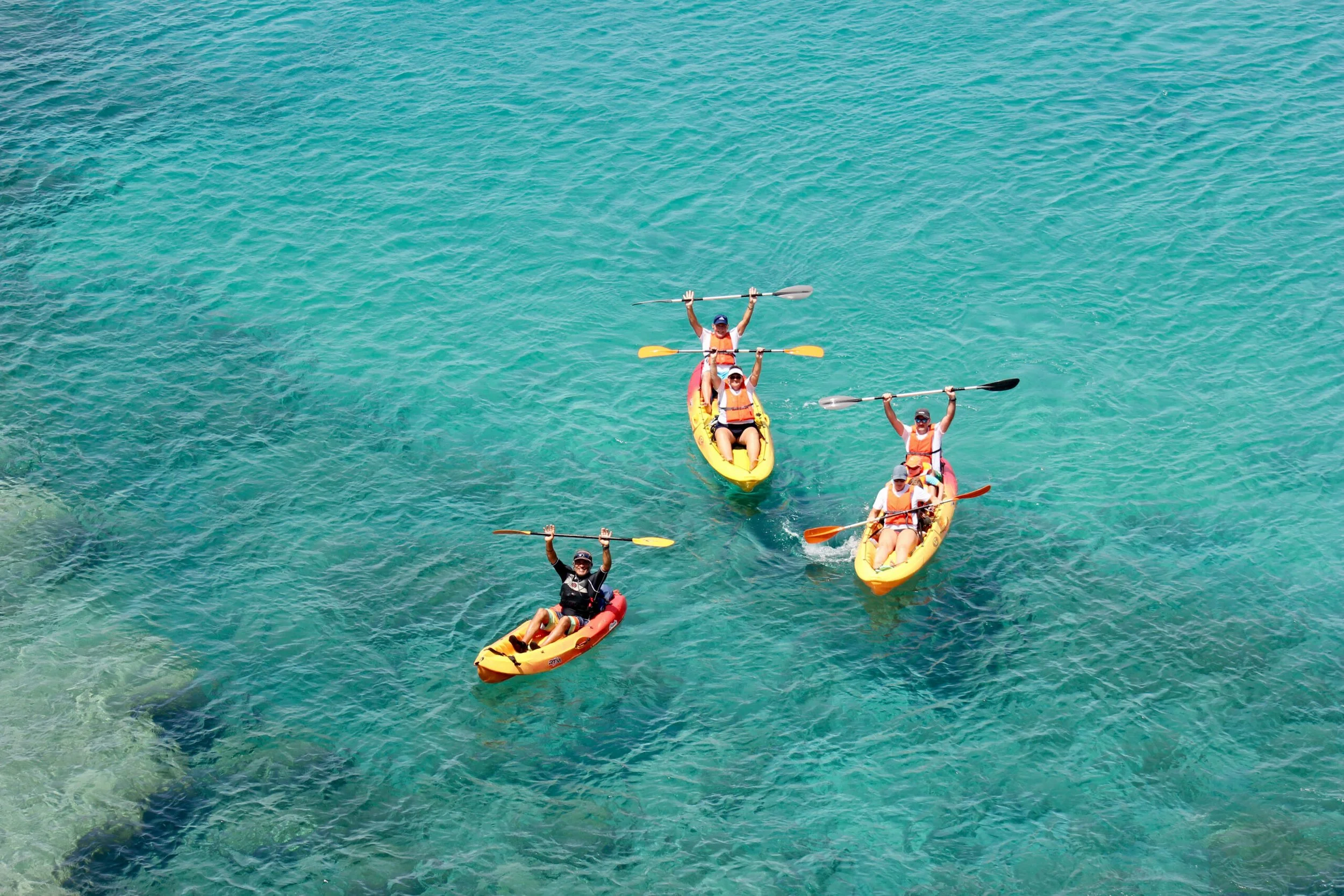 Guided Kayak Tours and Nature Walk