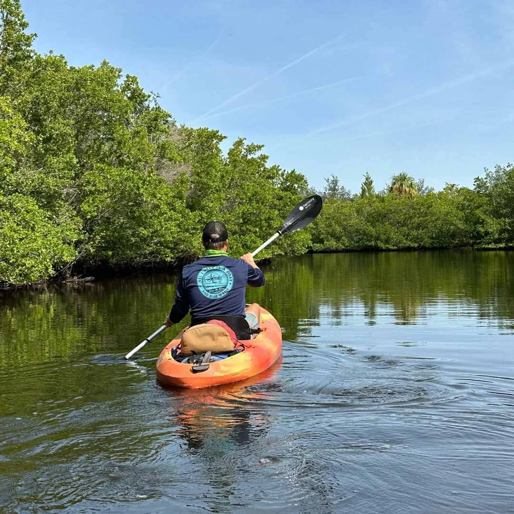 Guided Kayak Mangrove Tours in Bradenton's Robinson Preserve