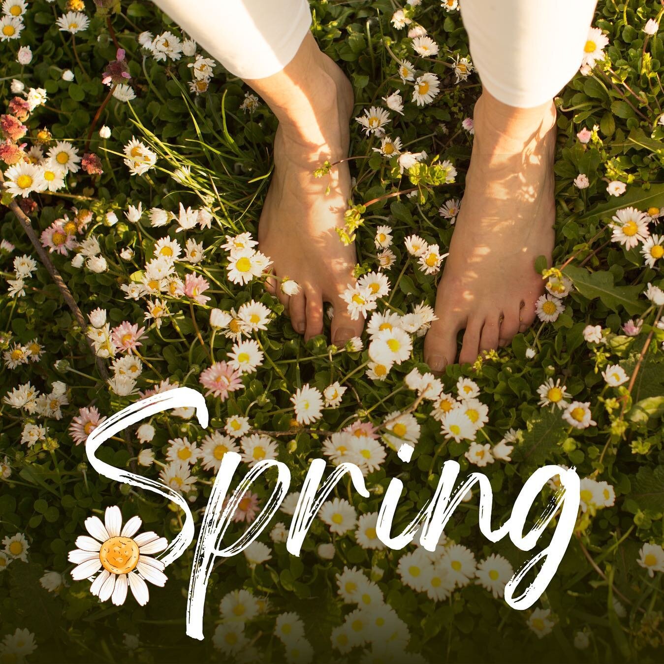 Mor Thai Day Spa ⌇Massage in Gungahlin