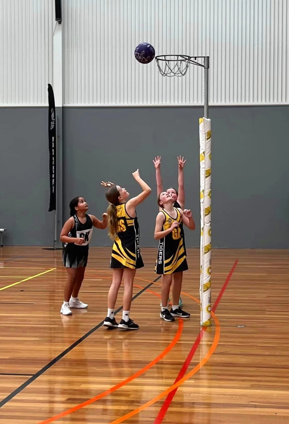 Net Set Go — Albany Netball Association
