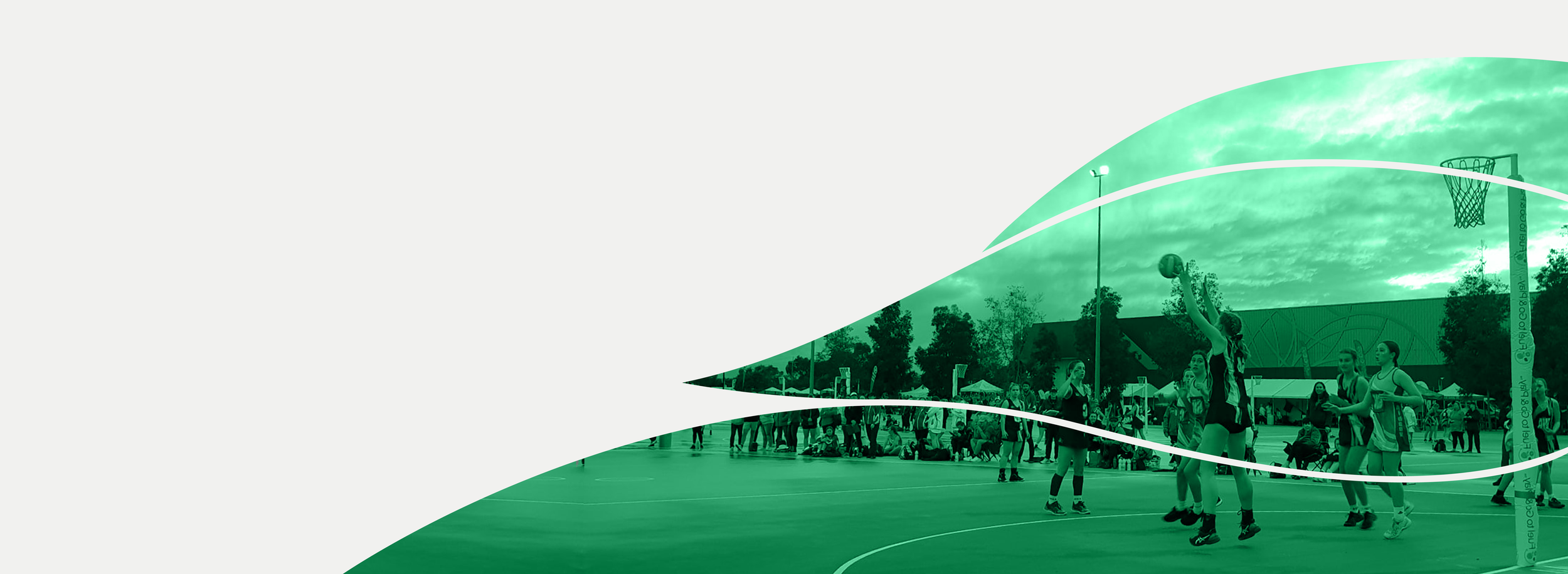 Net Set Go — Albany Netball Association