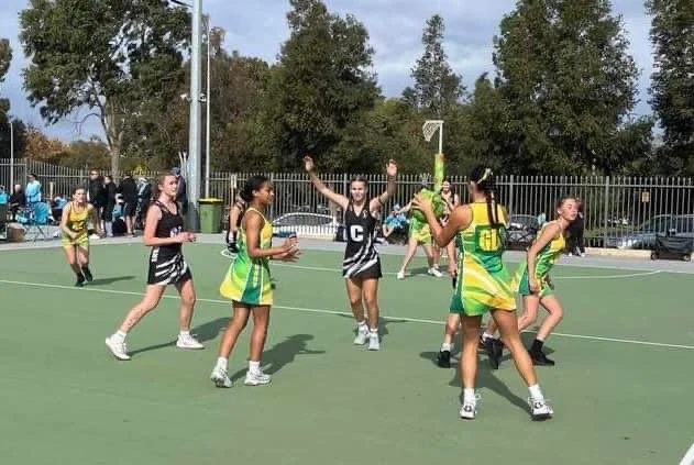 Association Championships — Albany Netball Association