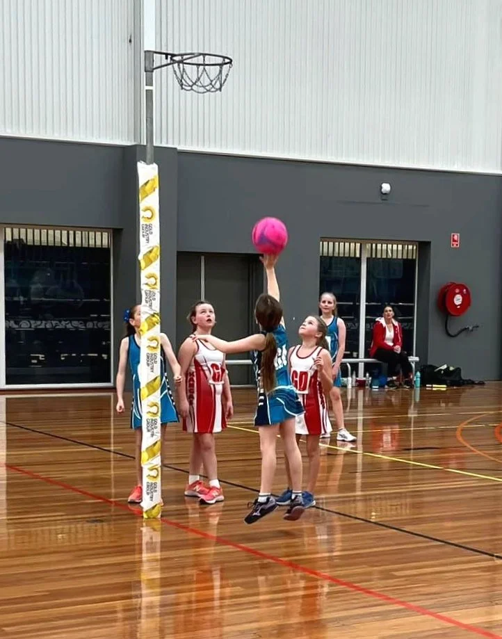 Net Set Go — Albany Netball Association