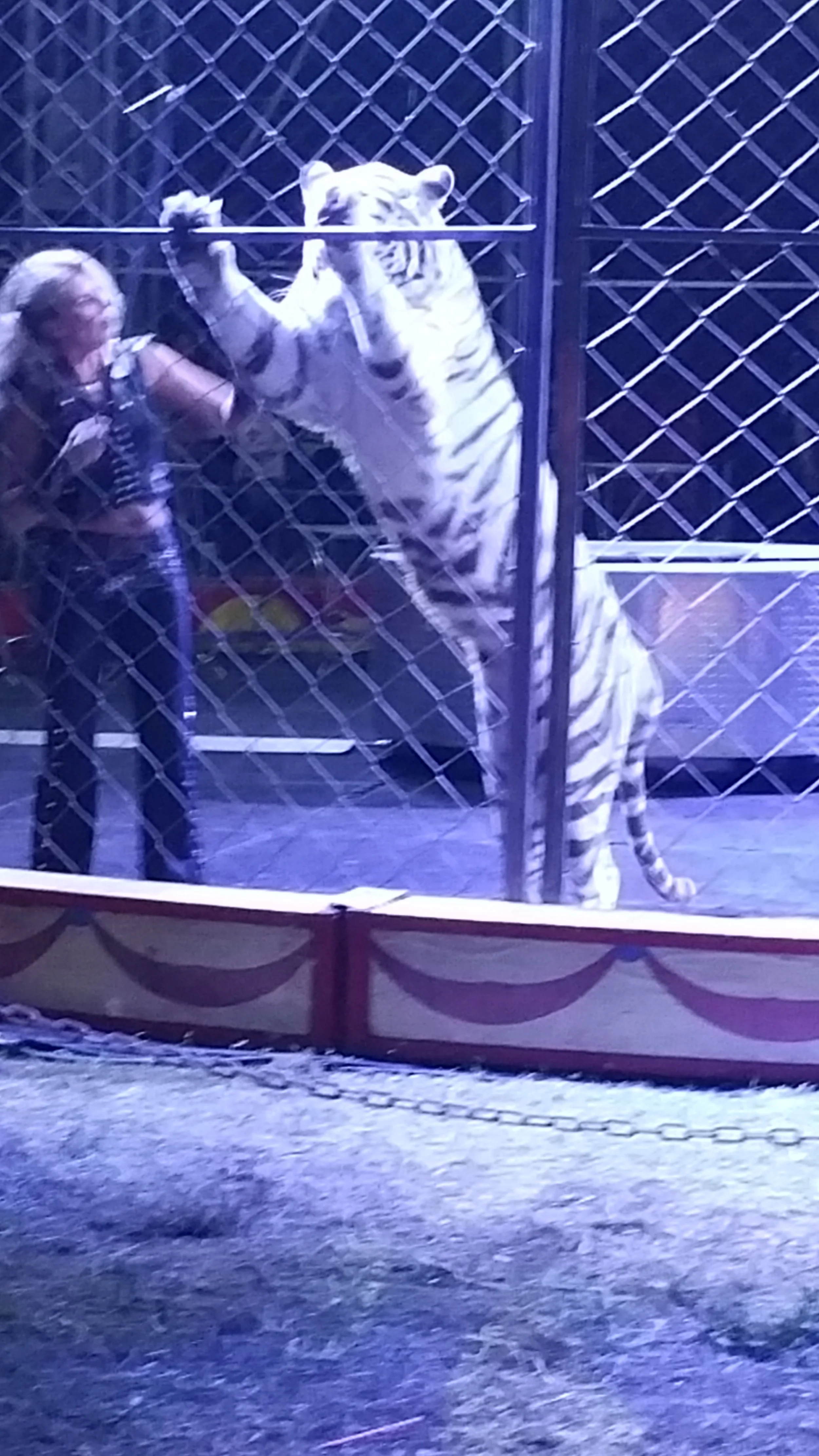 Gallery 1 — Zorah Shrine