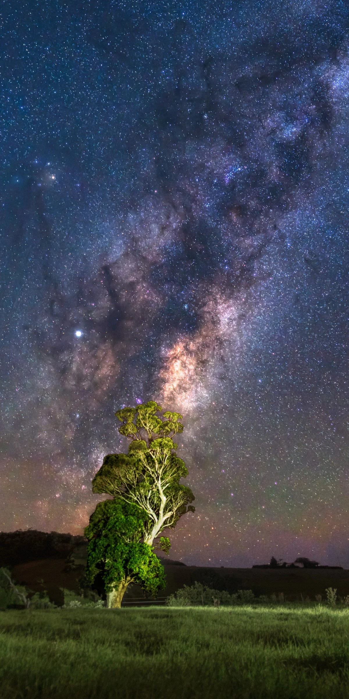 Nathan Miller Photography