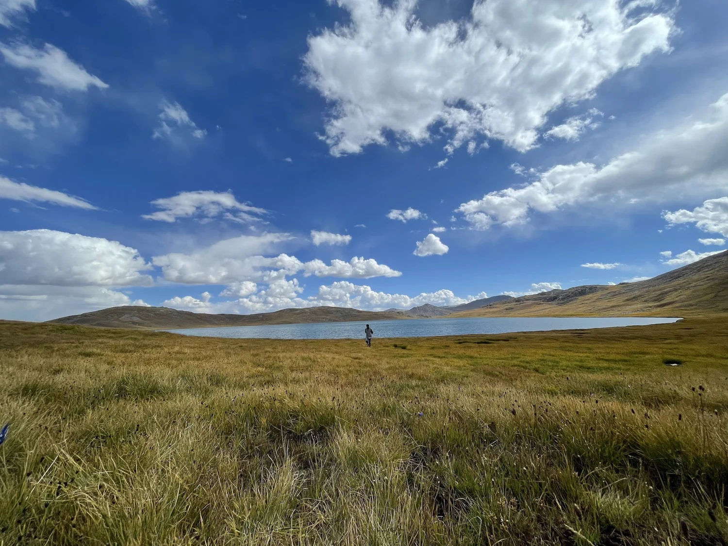 Deosai National Park in Pakistan: An Alpine Plateau and the Land of ...
