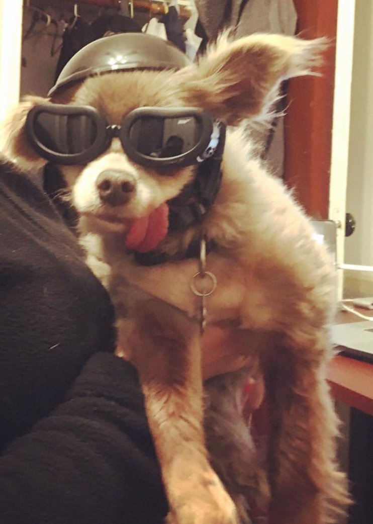 Team — Tornini Lab