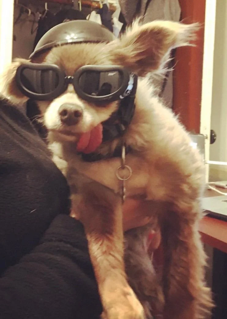 Team — Tornini Lab