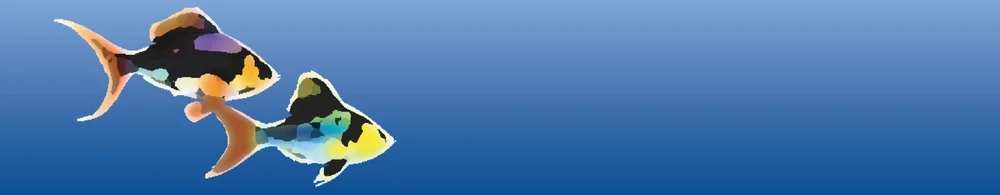 Lab News — Tornini Lab