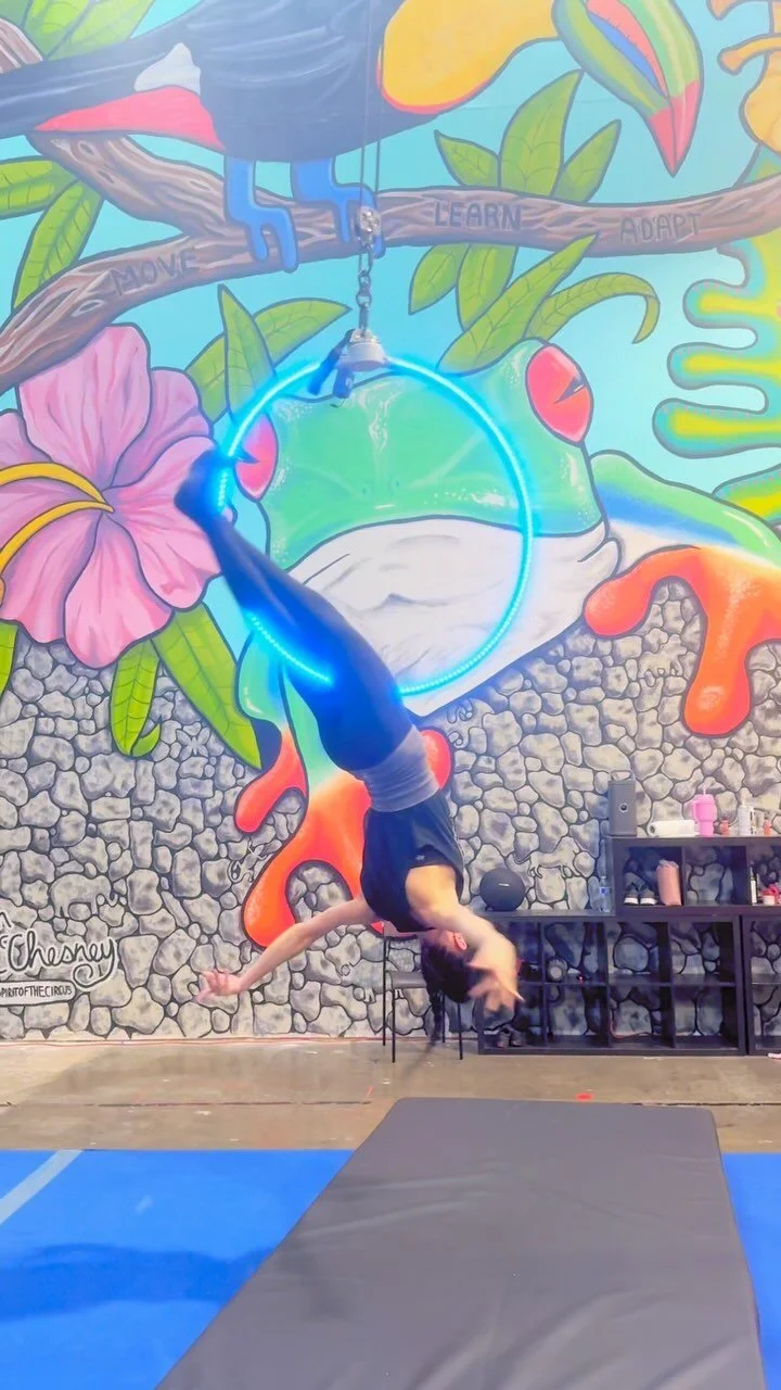 The Jungle Movement Academy