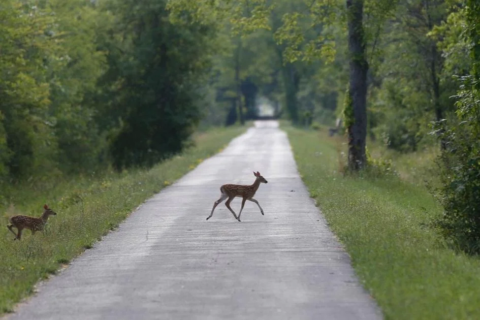 Places To Ride In WNY — Jereko Gear
