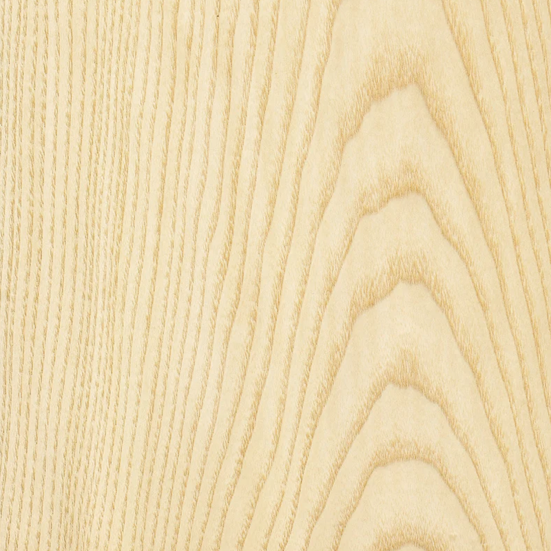 Wood Species — Saumarra
