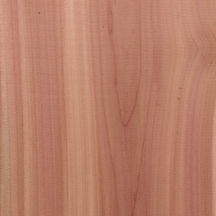 Wood Species — Saumarra