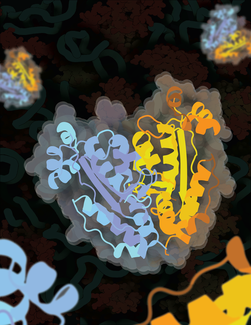 Team — The Fried Lab