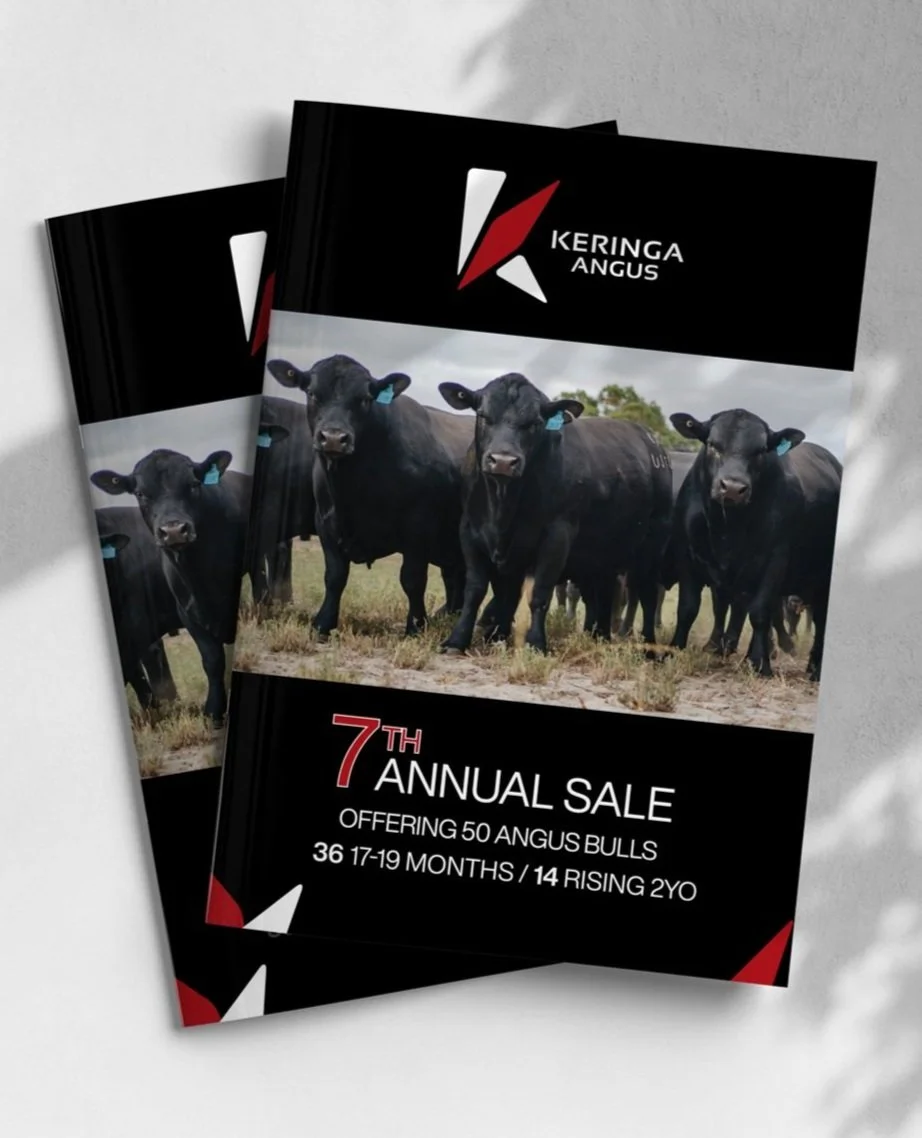 Keringa Angus