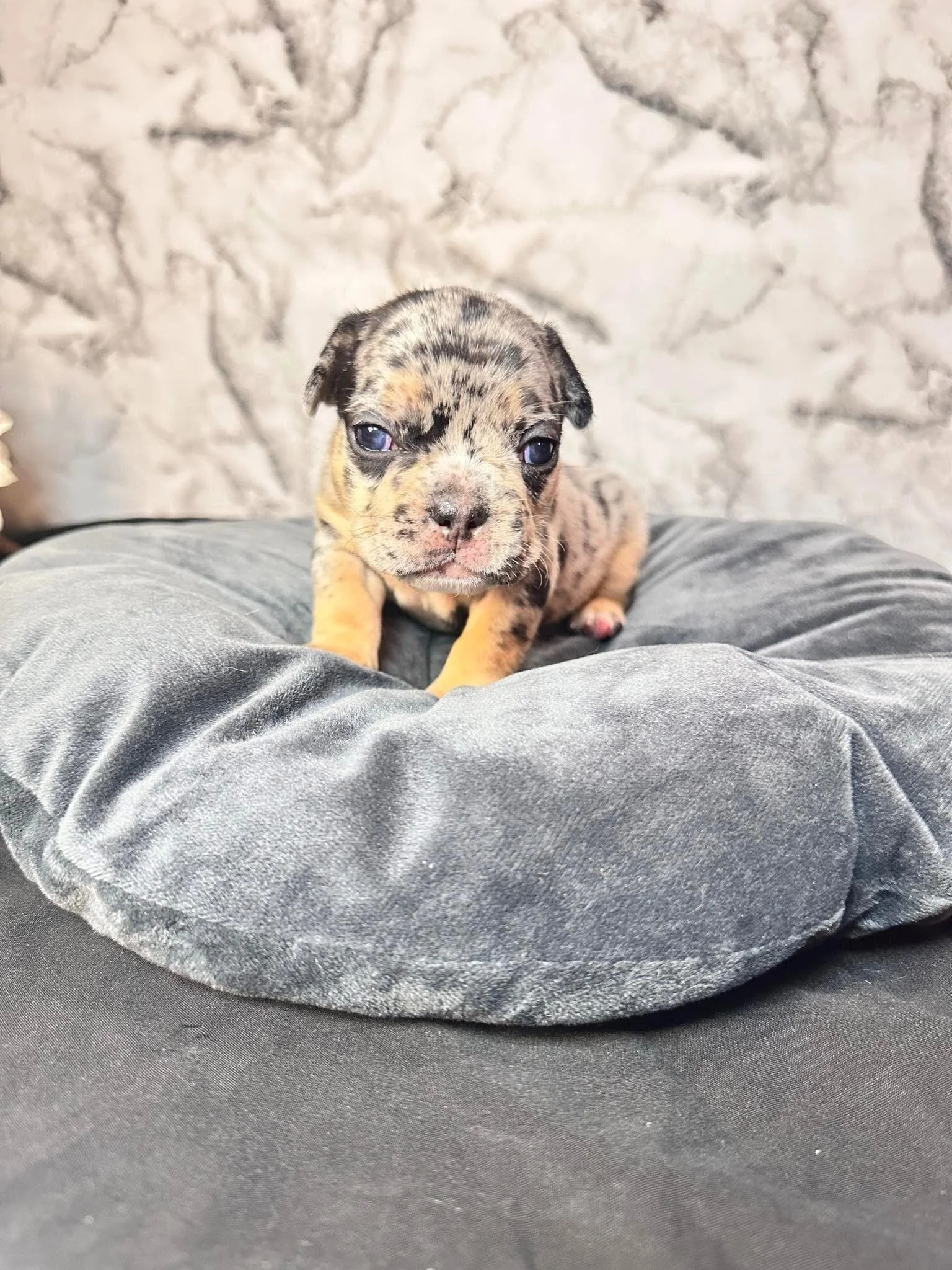 Gallery 2 — Ron Robert Memorial