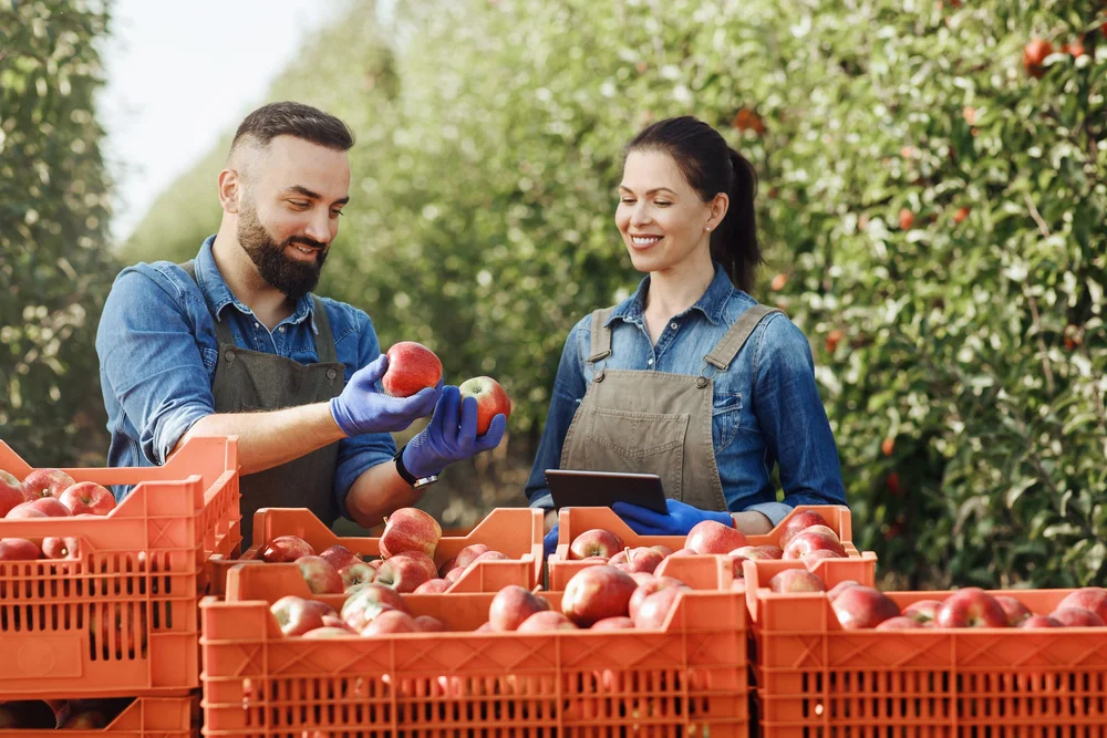 The Role of IoT in Fresh Produce Logistics — PostHarvest Technologies